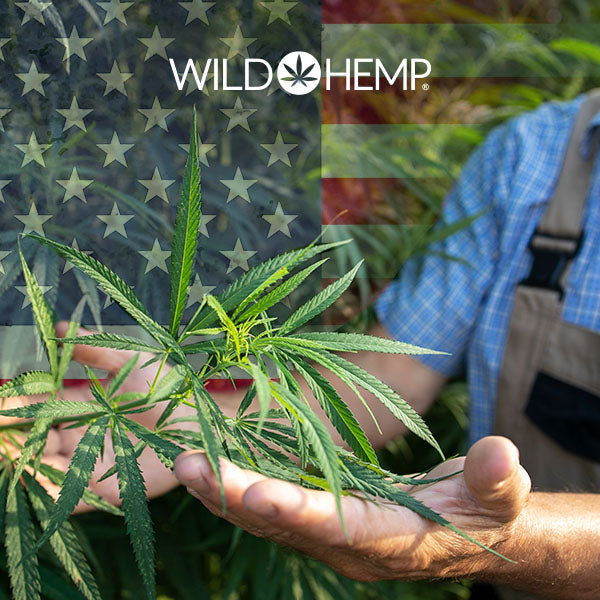 Is Hemp the Most American Plant on the Planet? – Wild Hemp